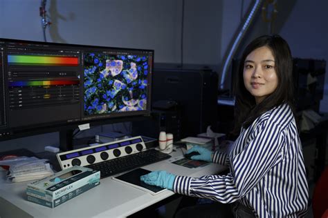 Mapping Mrna Through Its Life Cycle Within A Cell Mit News