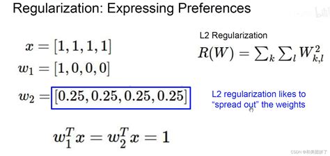 Cs231n L1与l2正则化l1正则化偏好 Csdn博客