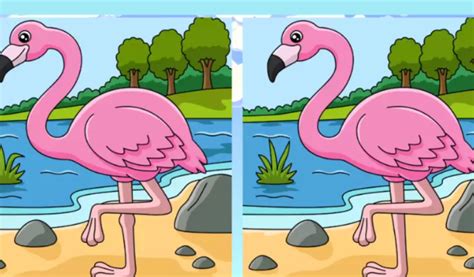 if you have hawk eyes find the difference between two images with 15