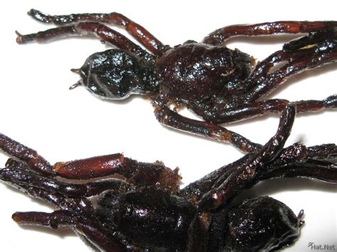 Food A Ping Spider Dessert Phnom Penh Indo China