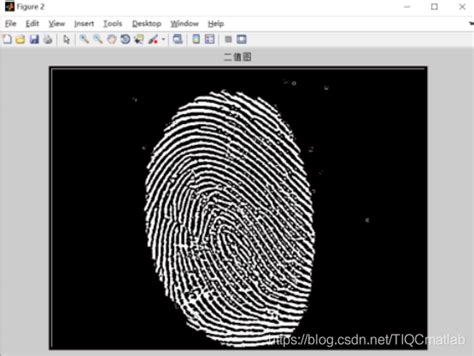 【指纹识别】基于matlab Gui指纹识别【含matlab源码 586期】指纹识别代码 Csdn博客