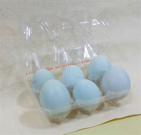 【やや傷や汚れあり】送料無料 卵販売 アローカナ 系ミックス雄雌 柵飼 放し飼い 平飼い 産みたて卵 有精卵 6個 手渡し可 食用 過熱用の