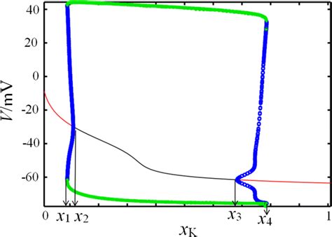 The Bifurcation Diagram For Hh Neuron Model Driven By Multiple Download Scientific Diagram