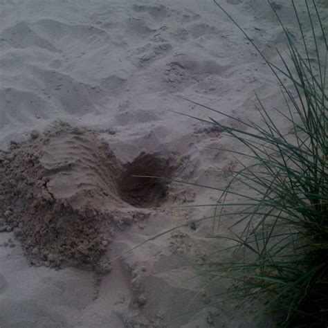 Stream Patrick Ace Music Listen To Songs Albums Playlists For Free On Soundcloud