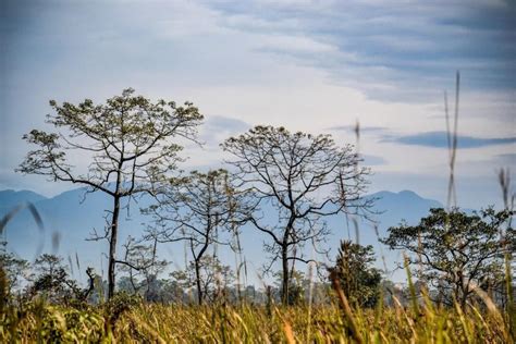 20 Stunning Photos Of Bodoland Assam To Inspire You To Explore This