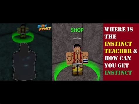 How To Find Talk To Instinct Teacher In Blox Fruits How To Get