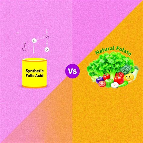 Synthetic Folic Acid Vs Natural Folate Understanding The Difference And Why It Matters