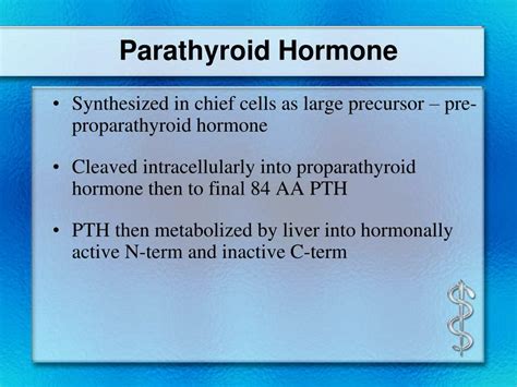 Ppt Parathyroid Glands Powerpoint Presentation Free Download Id