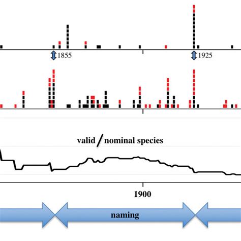 Summary Of Taxonomic History Of Doradidae Each Square Represents A