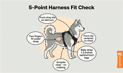 Pawsafe