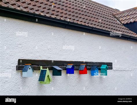 Colourful Row Of Handmade Bird Boxes On House Wall Burnmouth