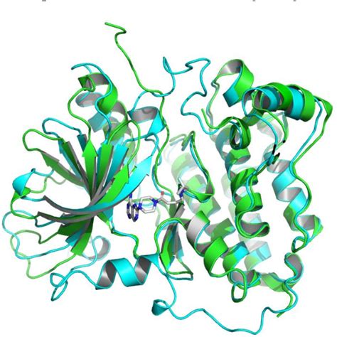 Figure 1 From Protein Structure Prediction Based On Deep Learning Her2