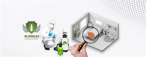 What Is A Bed Bugs النقاء لمكافحة الحشرات برأس الخيمة الأمارات العربية المتحدة