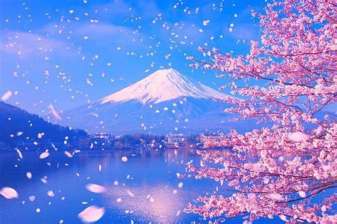 🌻 მარტივი გამოსავალი 🌻