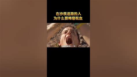 在沙漠中迷路的人 为什么要喝骆驼🐪血 Youtube