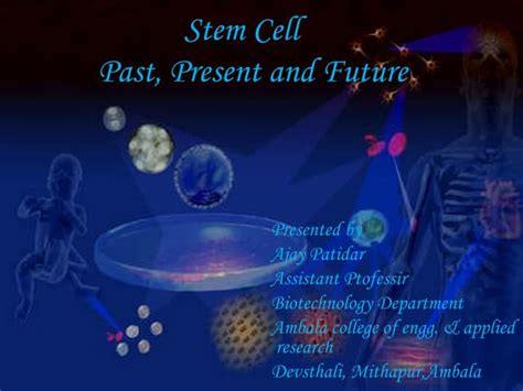 Stem Cell Ppt