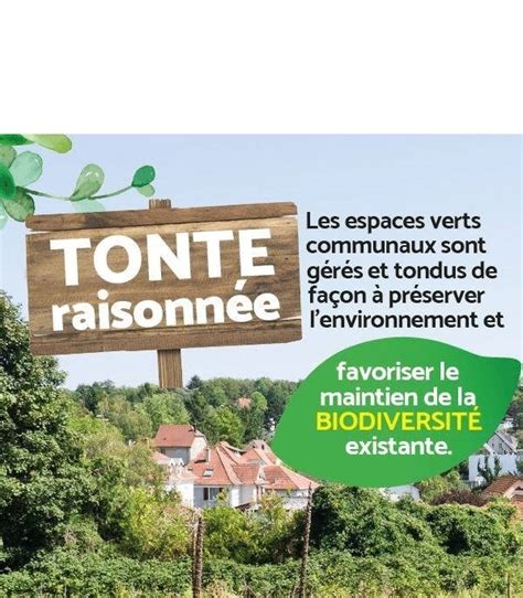 Tonte raisonnée Mairie de Marnay