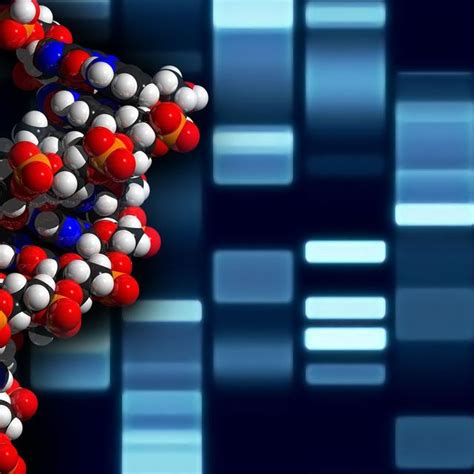 Définition Codon Quest Ce Que Cest Futura Santé