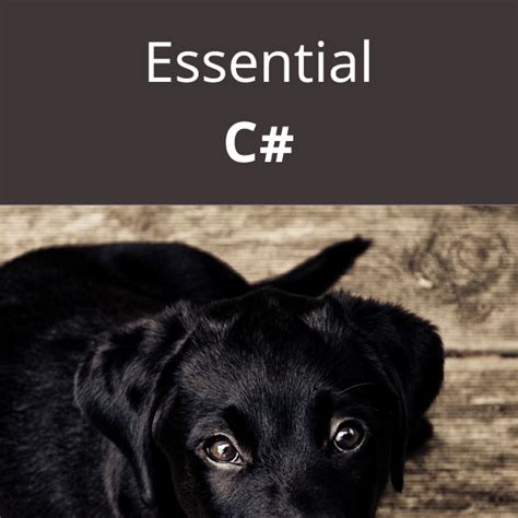 C Script