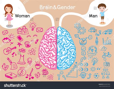 Brain Gender Difference Between Man Woman Stock Vector Royalty Free 360907850 Shutterstock