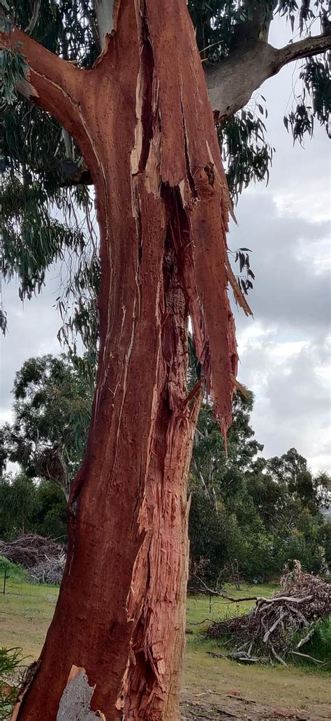 Mother Nature R Interestingasfuck