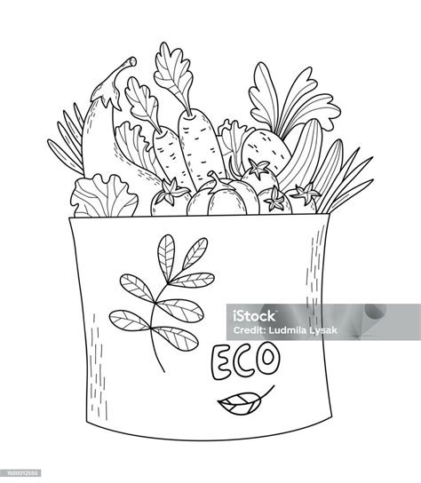 야채가 든 에코백 벡터 윤곽선 그림 스케치입니다 음식이 담긴 종이 봉지 당근 비트 뿌리 토마토 오이 가지 생태 개념과 재활용