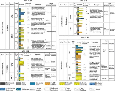 Sedimentary Facies Analysis Diagram Of Four Cored Wells Download