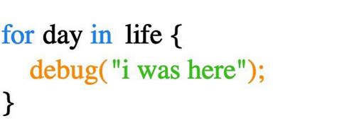 developer life iterator r programmerhumor