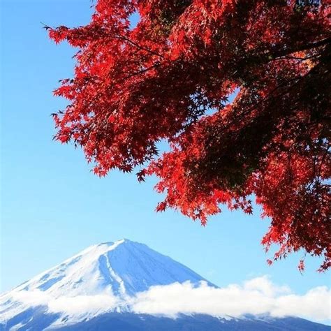 ‎حمودی 🔥‎ Mooom8853 On Threads