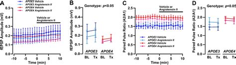 No Effect Of Angiotensin Ii On Basal Synaptic Transmission Or Synaptic