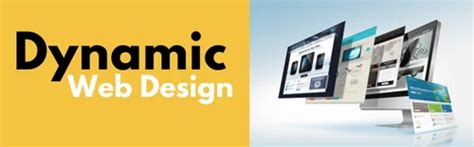 Dynamic WEB Development Service At 11000 Month In New Delhi ID