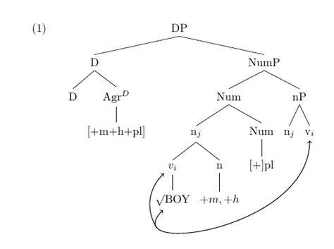 Help On Tree Diagram By Using Tikz Tikz Qtree Tikz Qtree Compat Tex