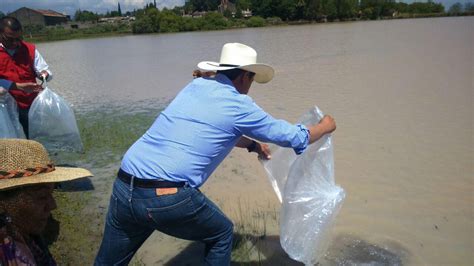 Sofia Manzo Manzo Sofia Twitter