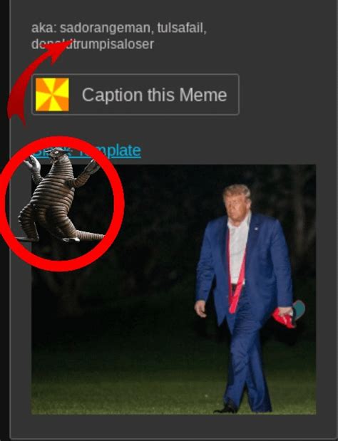 Sadora R Thebronzejade