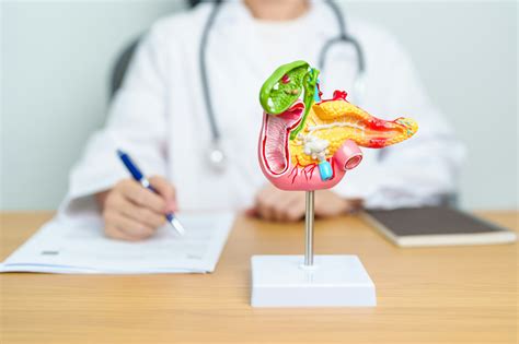 Cirurgia De Vesícula Procedimento E Período De Recuperação Saúde Em