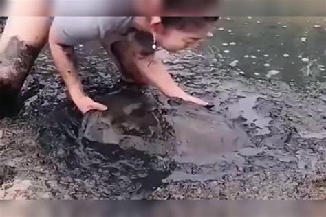 表姐泥塘里翻了半天，抓到这么大的甲鱼，真的不是乌龟吗？