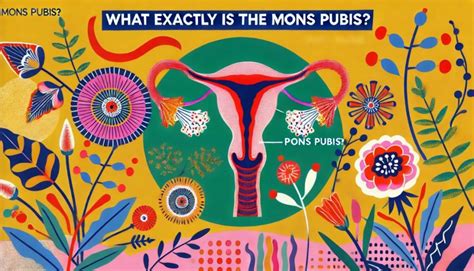 The Mons Pubis Everything You Didnt Know About This Fascinating Part Of Your Body Protect