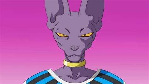 Beerus Dragon Universe Wikia Fandom Powered By Wikia