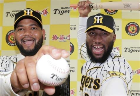 Mlbpark