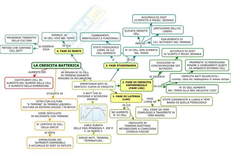Mappe Concettuali Di Microbiologia Generale