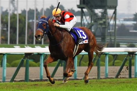 ウインマリリン 注目馬 2022香港ヴァーズ Jra Van Verworld