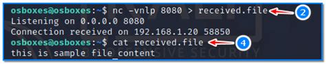 Lab Netcat Labs Net