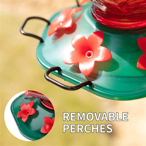 Red Lantern Glass Hummingbird Feeder Holds 26 Oz Of Nectar We Love