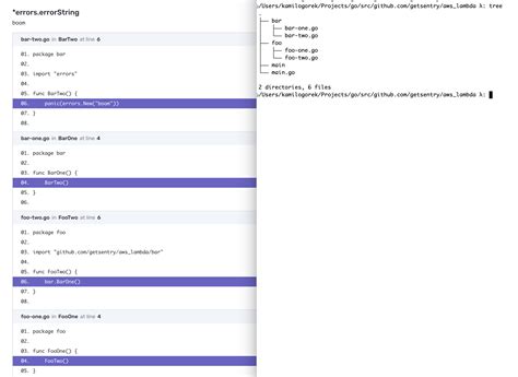 Stacktraces Are Empty In Aws Lambda · Issue 12 · Getsentrysentry Go · Github