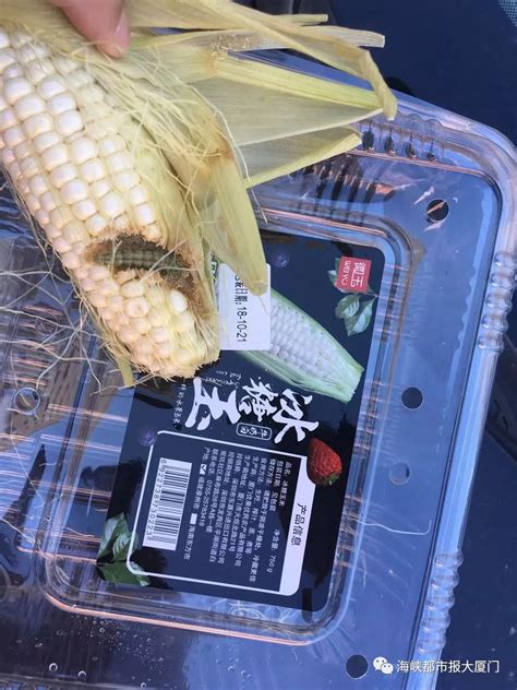 从厦门山姆会员店买的玉米，剥开皮虫子蠕动着出来了 搜狐大视野 搜狐新闻