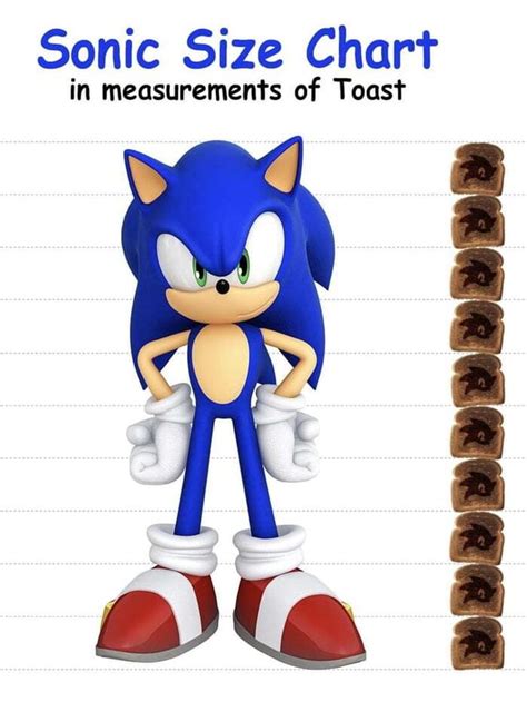 Sonic Size Chart In Measurements Of Toast Ifunny