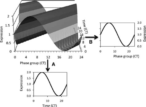 Estimating A Circadian Pattern From A Single Time Point Download