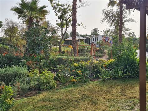 Sum Adventures At Al Barari Playground Dubais Newest Outdoor Heaven