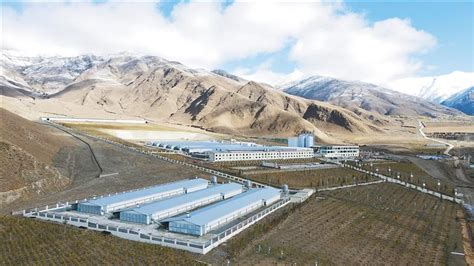 科技助力传统产业转型升级 新华生活新时代美好生活