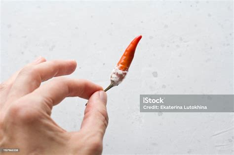 오렌지 칠리 페퍼에 흰색 곰팡이 현대 밝은 회색 배경에 버릇없는 음식 야채 칠리 페퍼를 손에 쥐고 있는 손 건강한 식생활에 대한